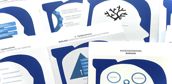 MAPP: Model til Kortlægning af Adfærd og Pædagogisk Praksis ...