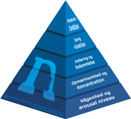 Kognitiv Udredning i Aarhus | Neuropsykologisk Praksis